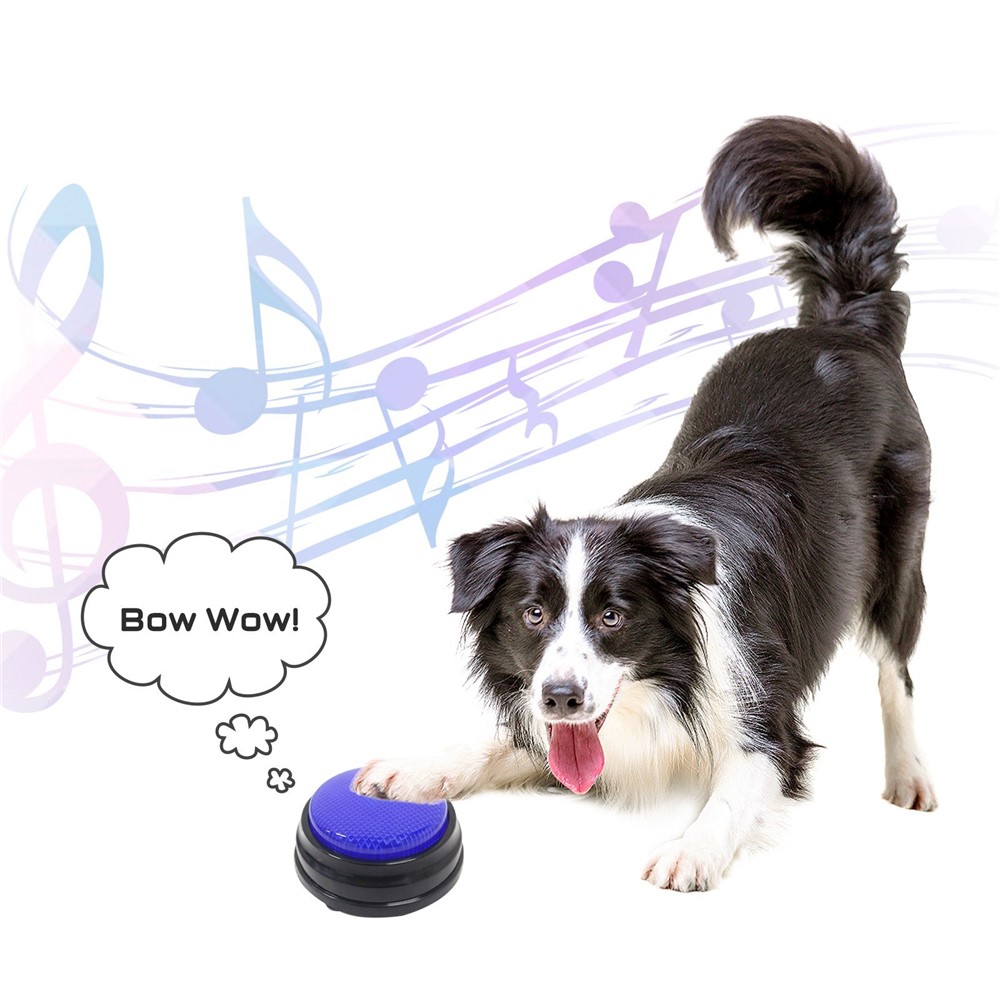 Small Size Answering Buttons Set Easy Carry Voice Recording Sound ... Small Size Answering Buttons Set Easy Carry Voice Recording Sound ...